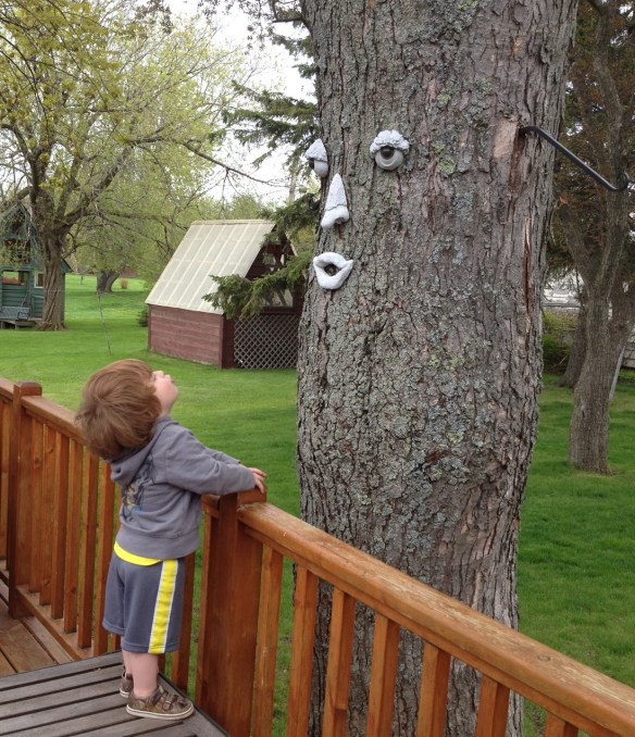 Tree Guy | Writing Near the Lake