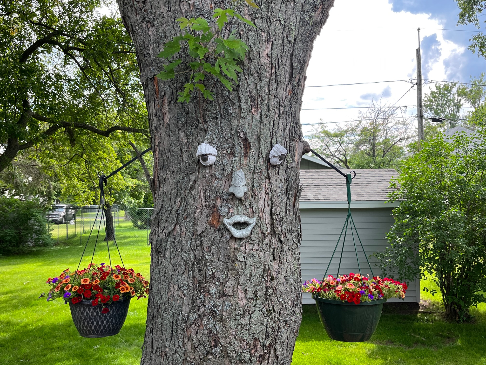Paddle Boarding and Tree Guy | Writing Near the Lake