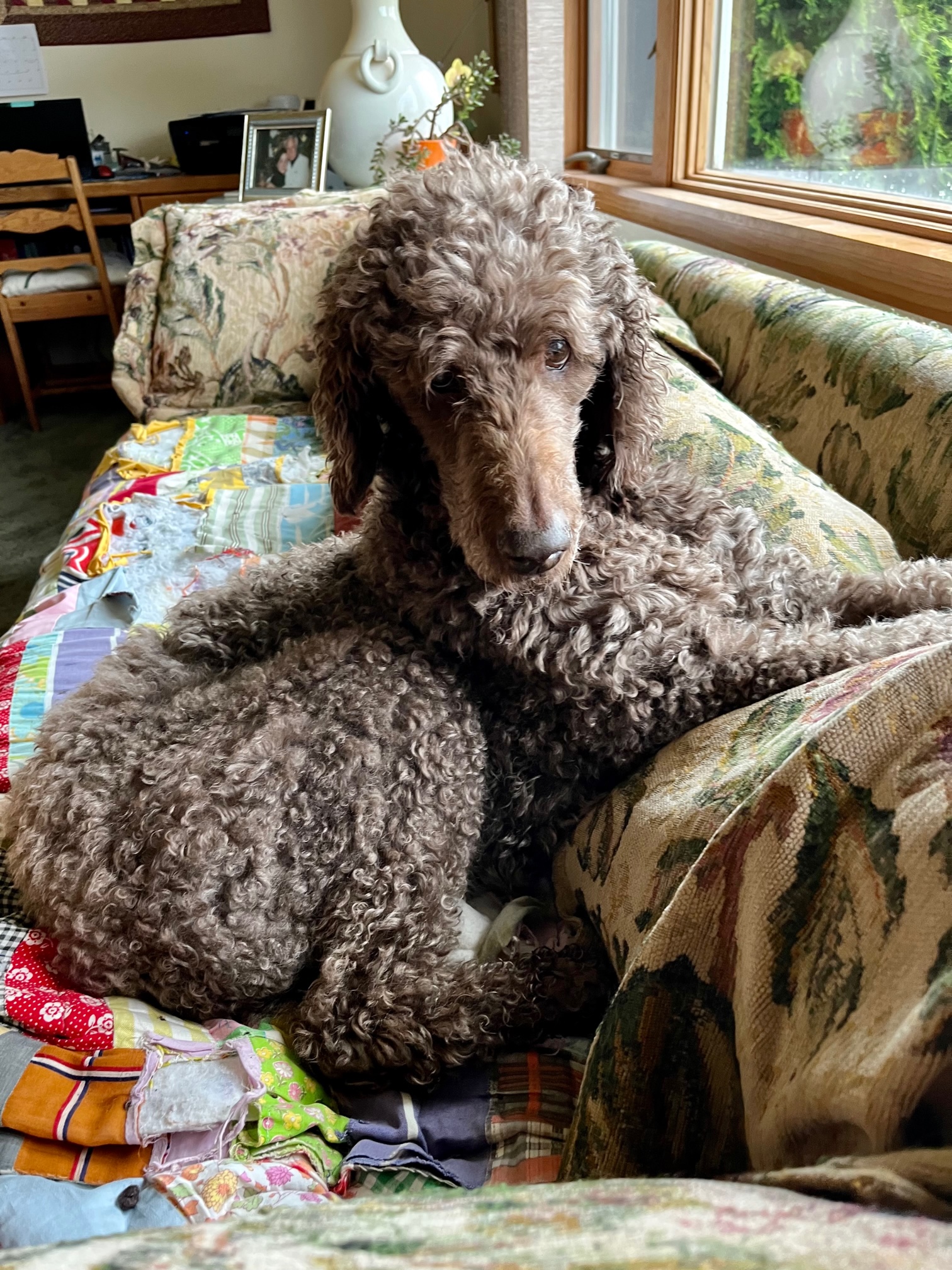 It’s Cabela’s 15th Birthday Today! | Writing Near the Lake