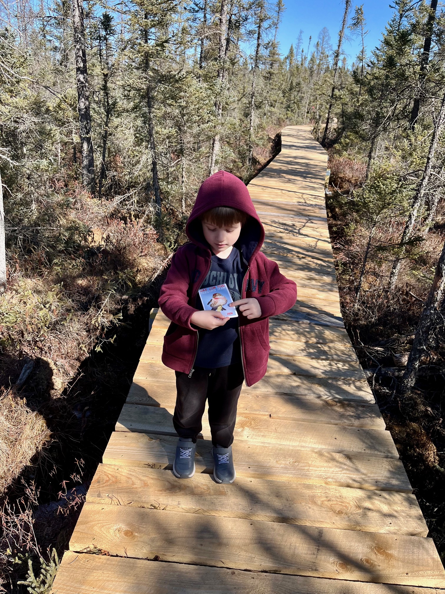 A Morning at Sax-Zim Bog in with the Grandkids | Writing Near the Lake