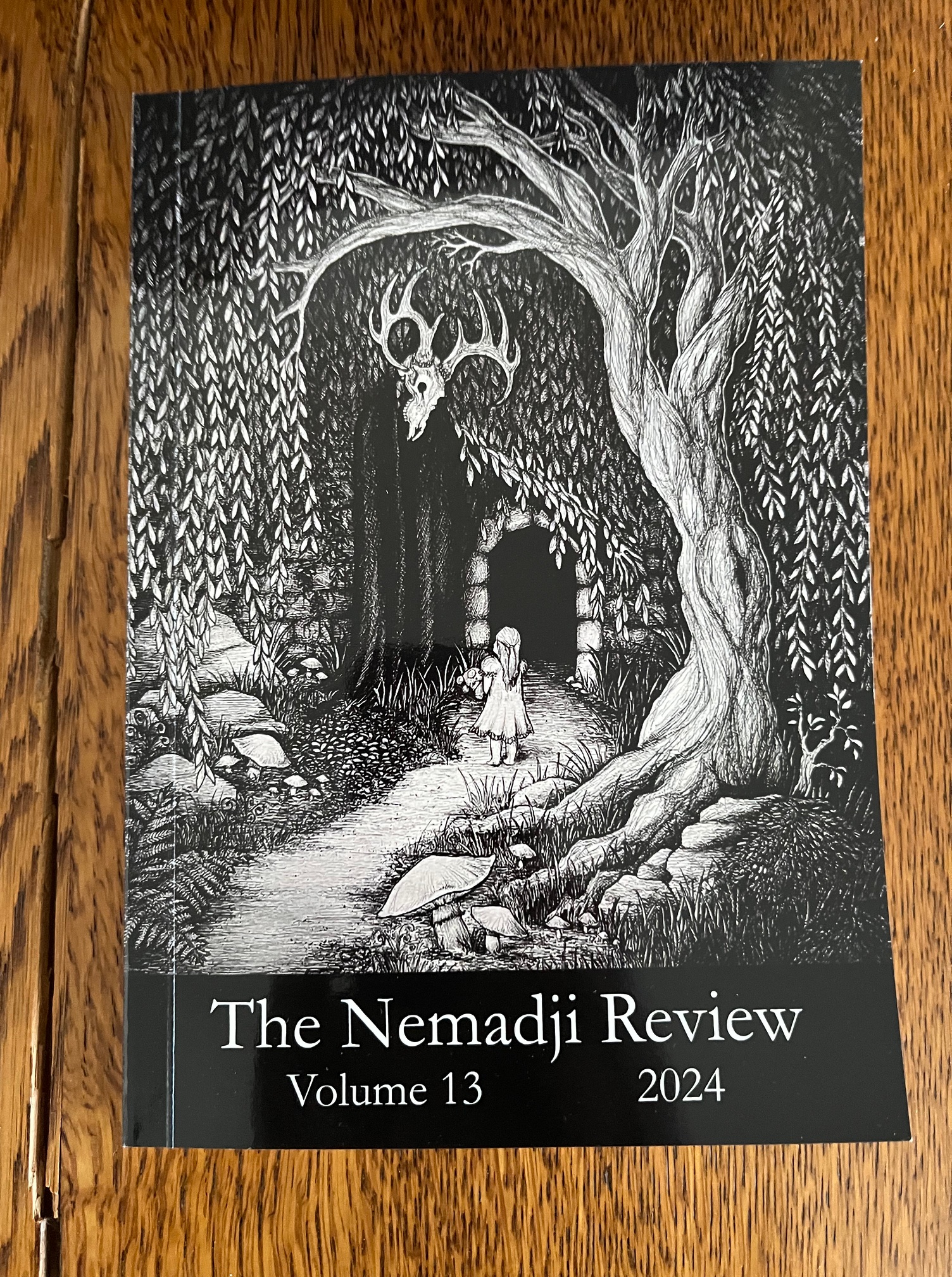 Something Published: “Dog Down the Stairs” appears in The Nemadji ...