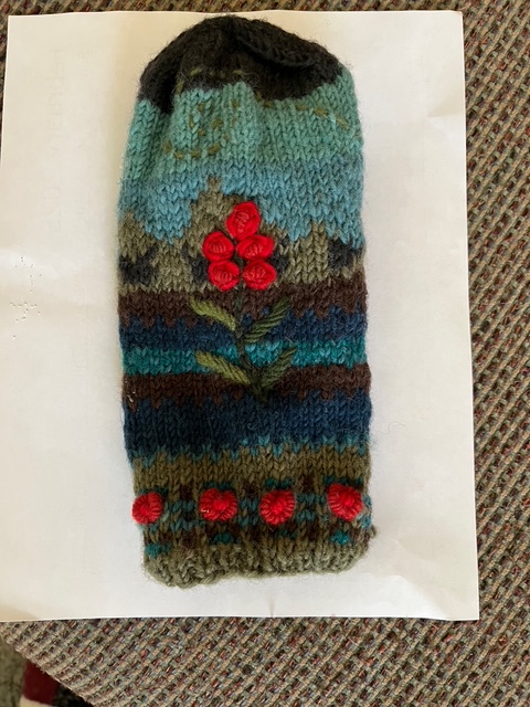 A Lost Mitten | Writing Near the Lake